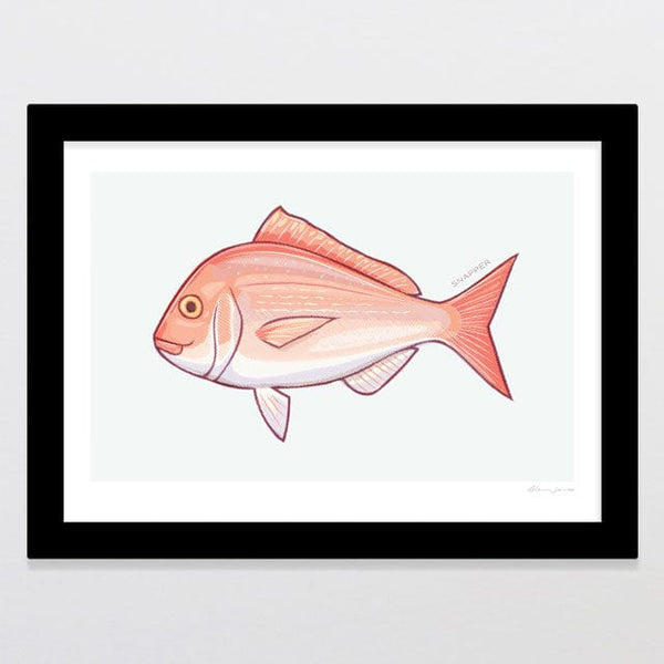 Snapper Art Print by NZ Artist Glenn Jones - Glenn Jones Art