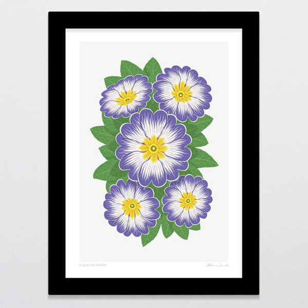 Violet Primrose Art Print by NZ Artist Glenn Jones - Glenn Jones Art