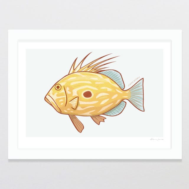 John Dory Art Print by NZ Artist Glenn Jones - Glenn Jones Art