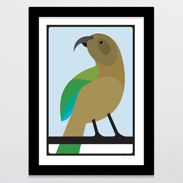 Kea Art Print by NZ Artist Glenn Jones - Glenn Jones Art