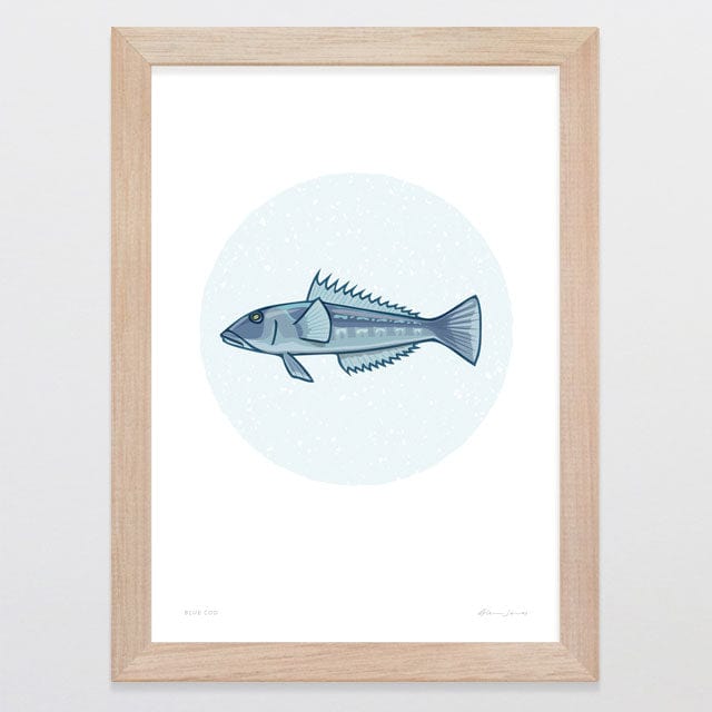 Blue Cod Art Print by NZ Artist Glenn Jones - Glenn Jones Art